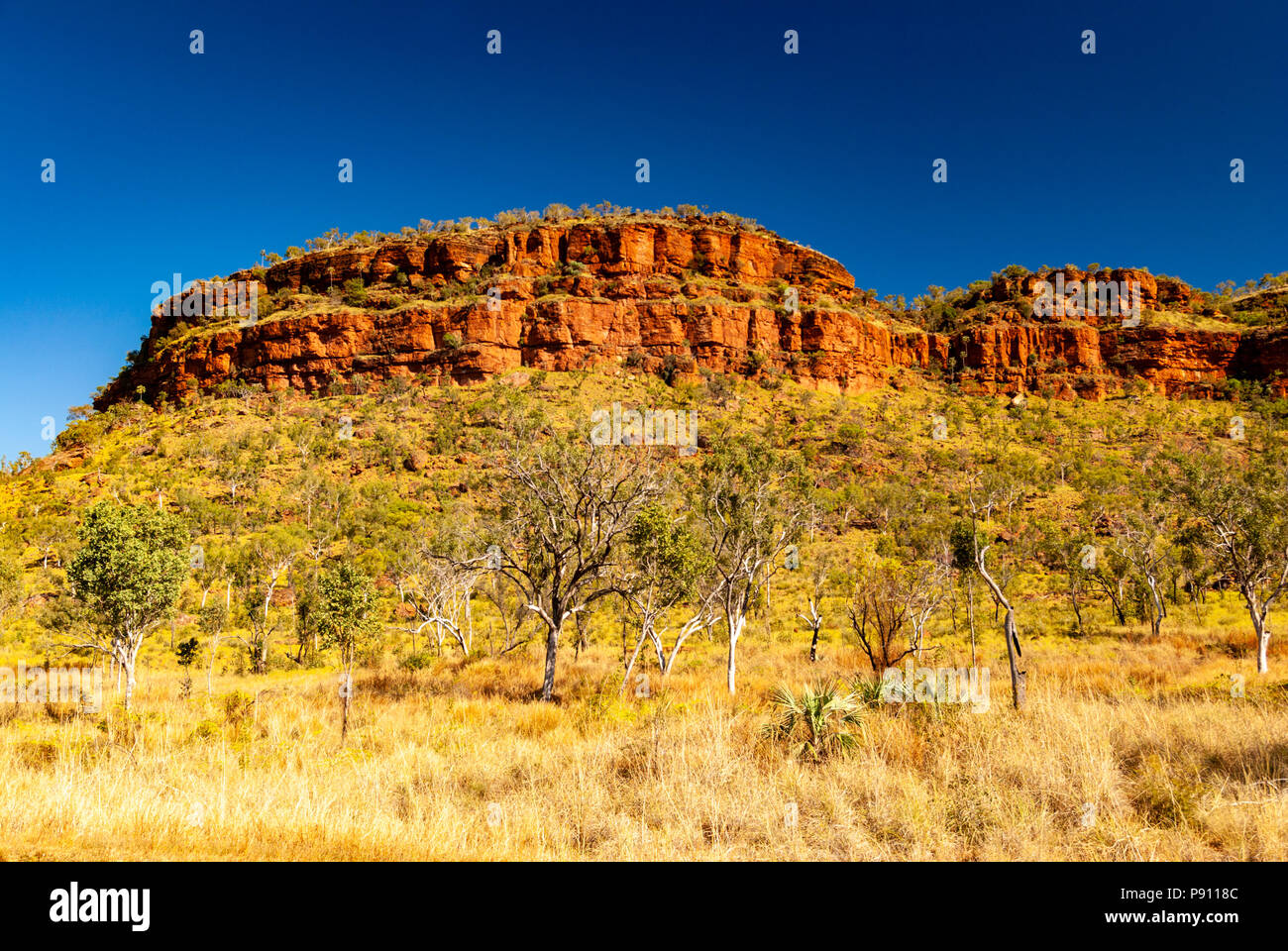 VICTORIA RIVER, JUDBARRA NATIONAL PARK, GREGORY NATIONAL PARK, NORTHERN ...