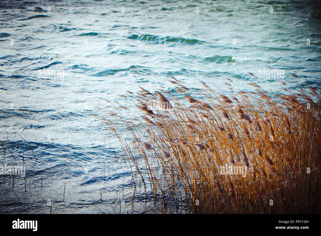 Quarry lakes hi-res stock photography and images - Alamy