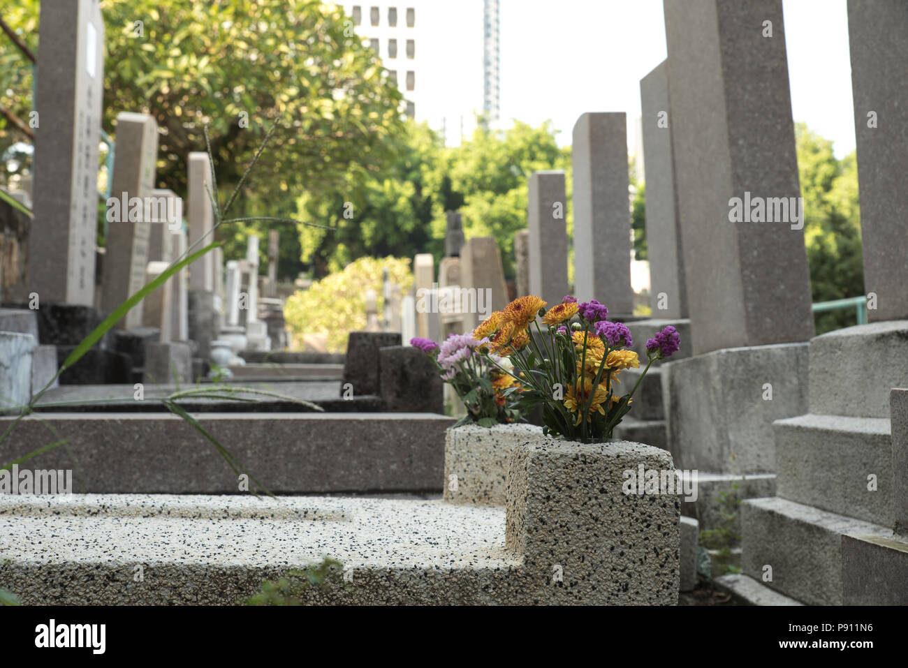 Cemetery in Hong Kong downtown on sunny day Stock Photo - Alamy