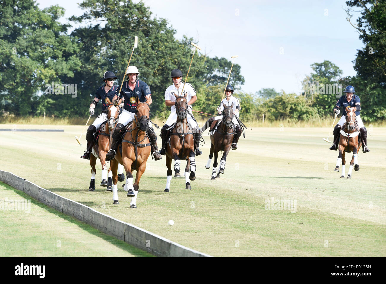William and harry polo hi-res stock photography and images - Alamy