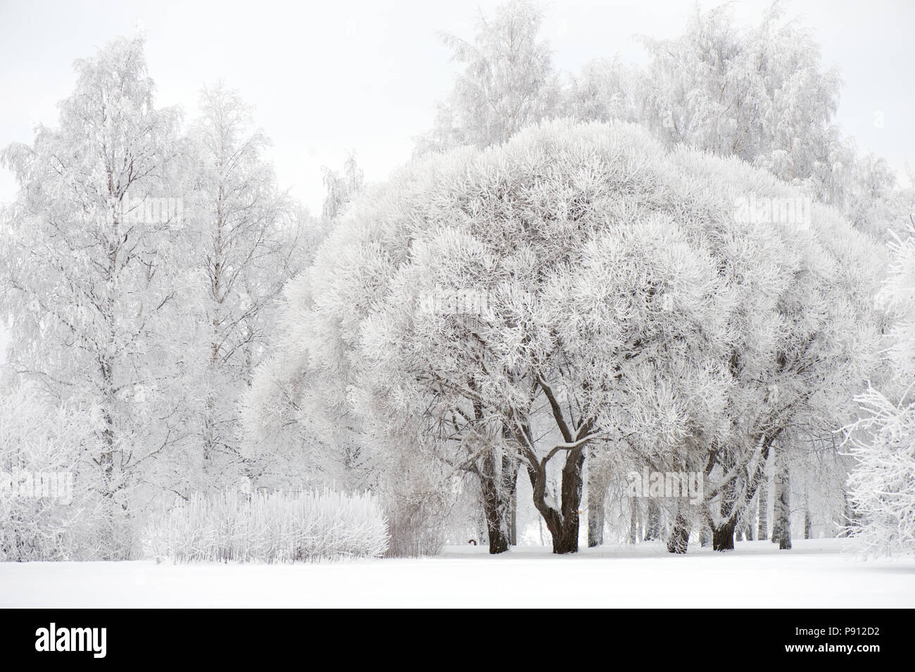 Snow scenery hi-res stock photography and images - Alamy