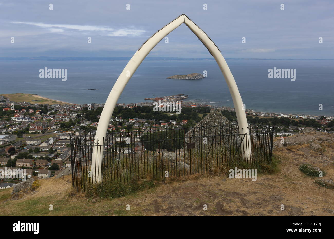 Whale bone replica hi-res stock photography and images - Alamy