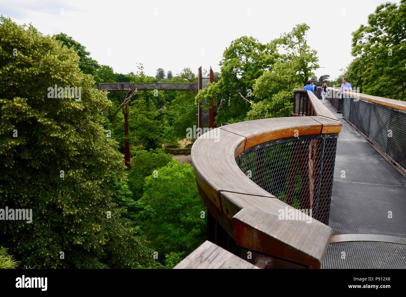 Treetop walkway at The Royal Botanic Gardens, Kew, London Stock Photo ...