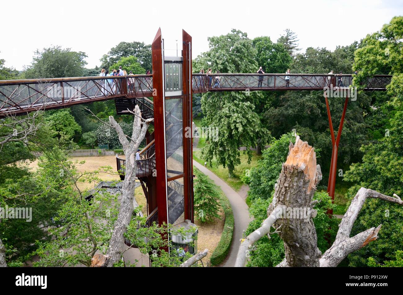 Treetop walkway at The Royal Botanic Gardens, Kew, London Stock Photo ...