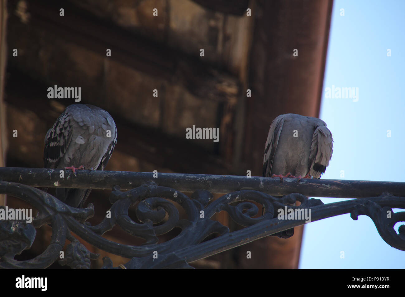 Sitting on a rail hi-res stock photography and images - Alamy