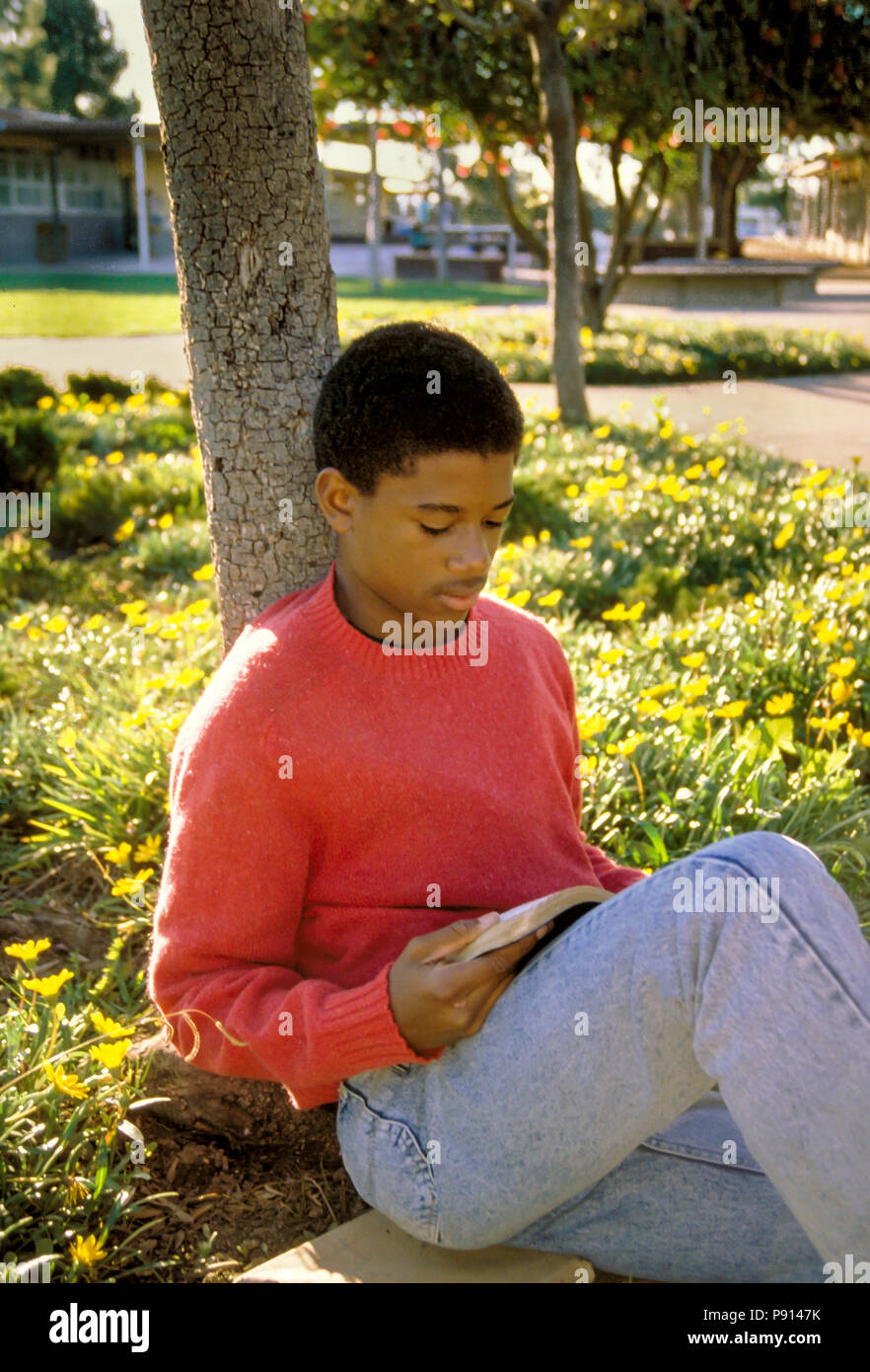 Teenage boy reading under tree shade, MR. © Myrleen Pearson ...