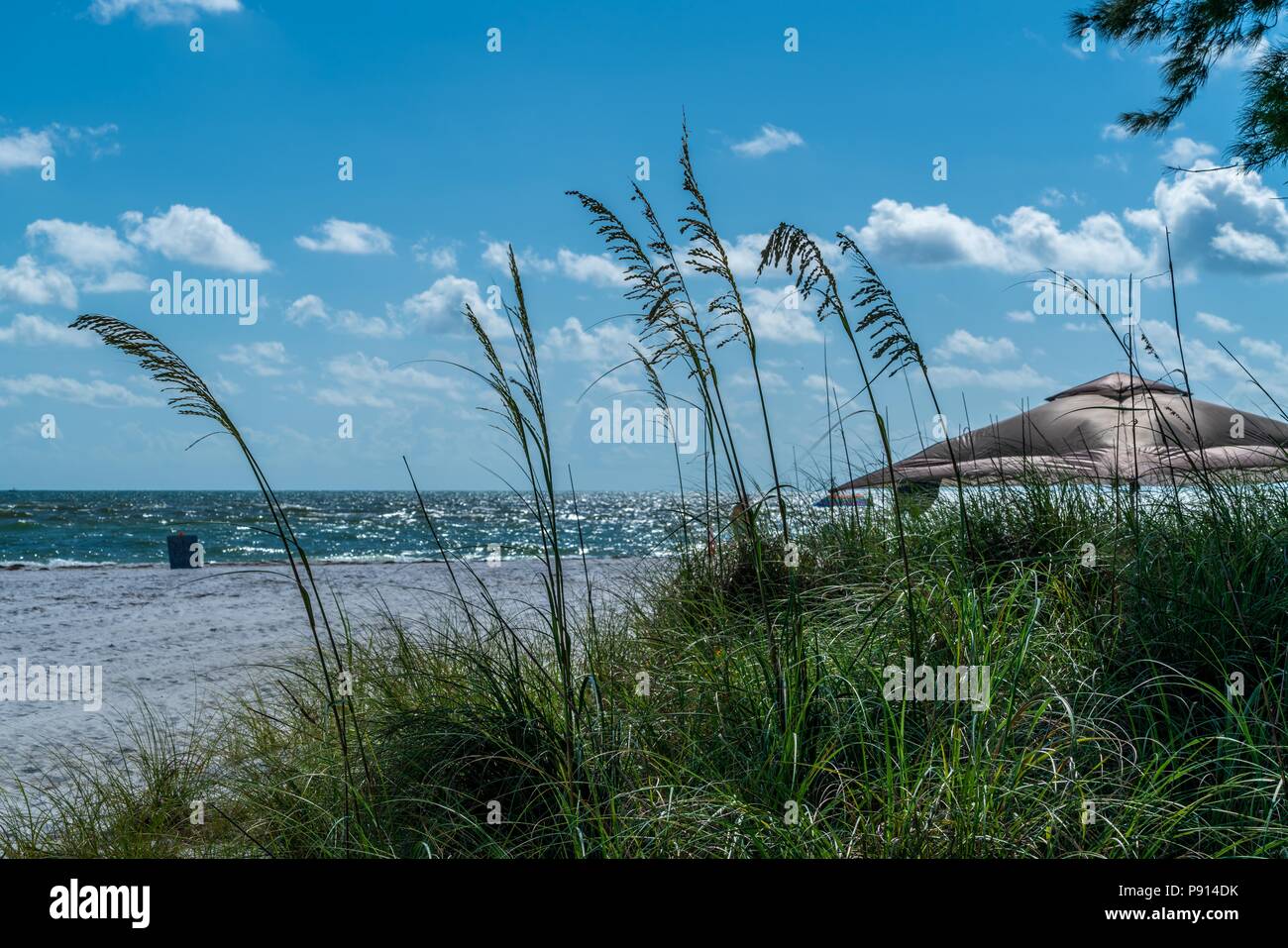 A warm and breezy day at the beach on Anna Maria Island in Southwest ...