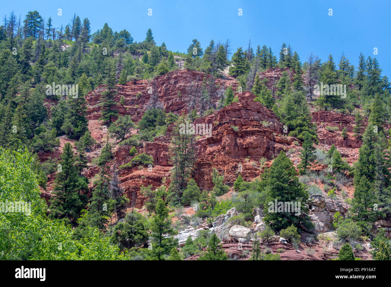 Scenery around Telluride Colorado, on Highway 145 Stock Photo - Alamy