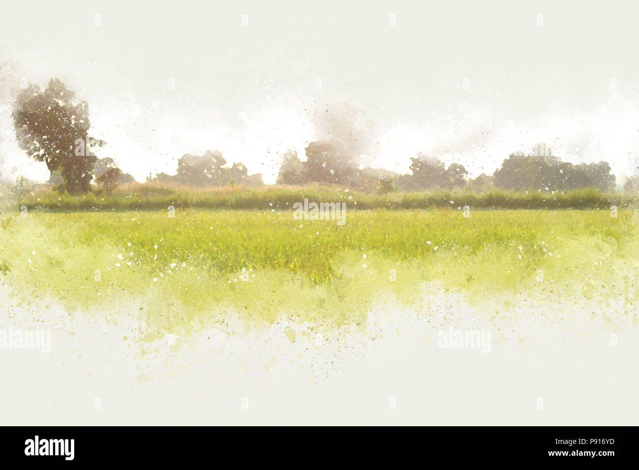 Abstract tree and Field on colorful watercolor painting background ...
