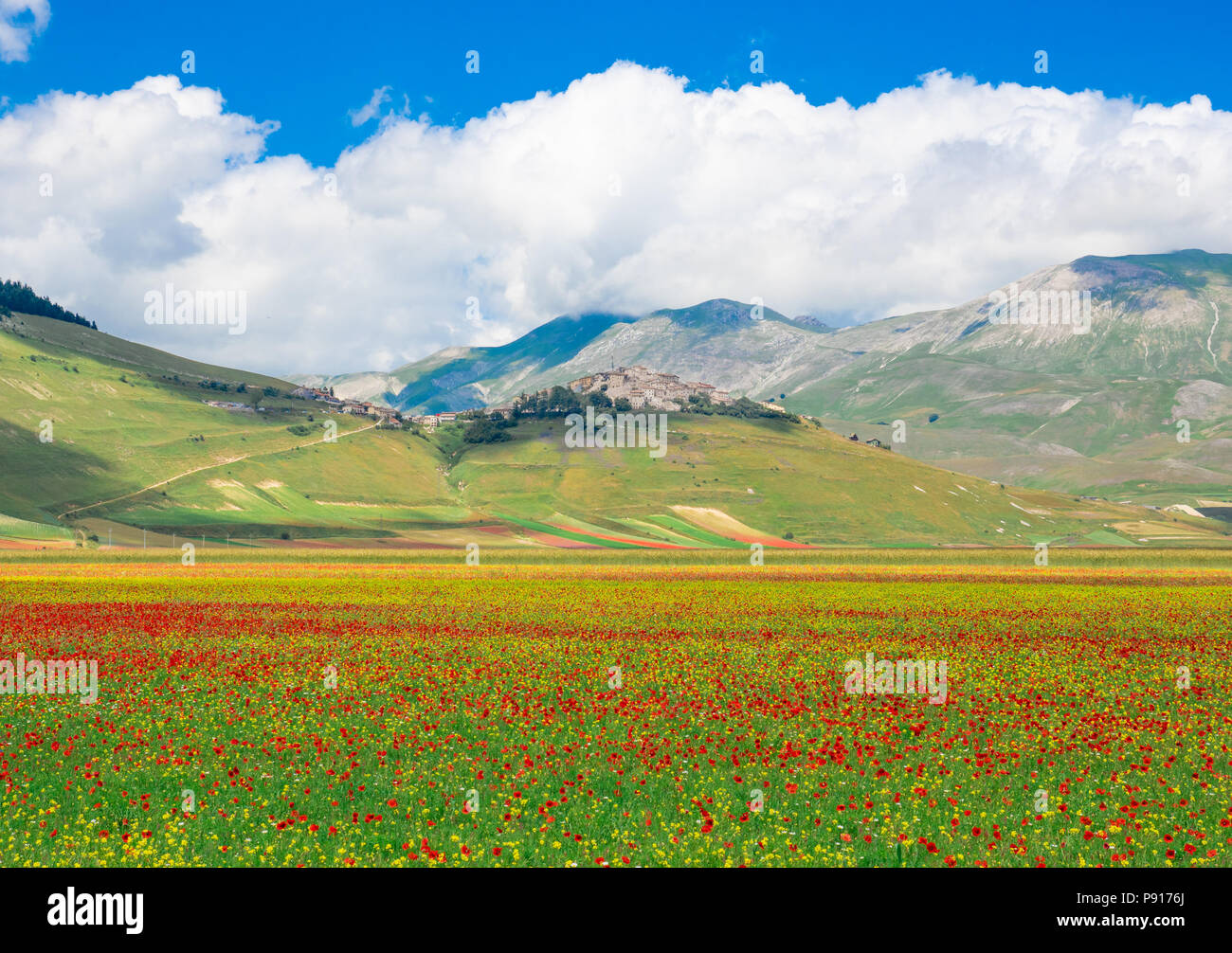 Castelluccio di Norcia, 2018 (Umbria, Italy) - The famous landscape ...