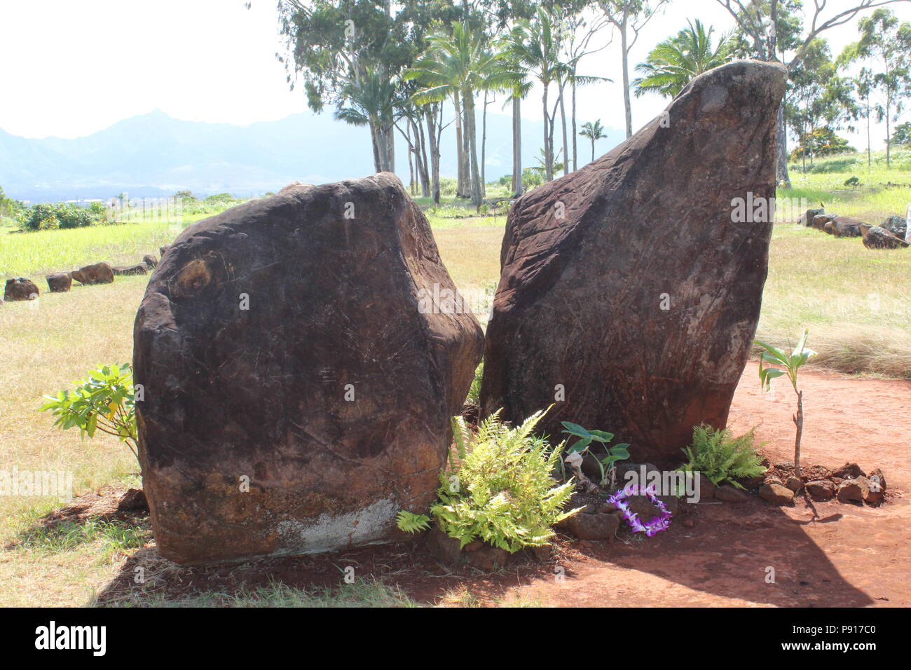 Kukaniloko birthing stones hi-res stock photography and images - Alamy