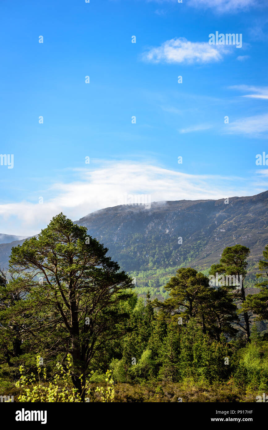 Scottish landscape. mountains and beautiful sky above Scotland Stock ...