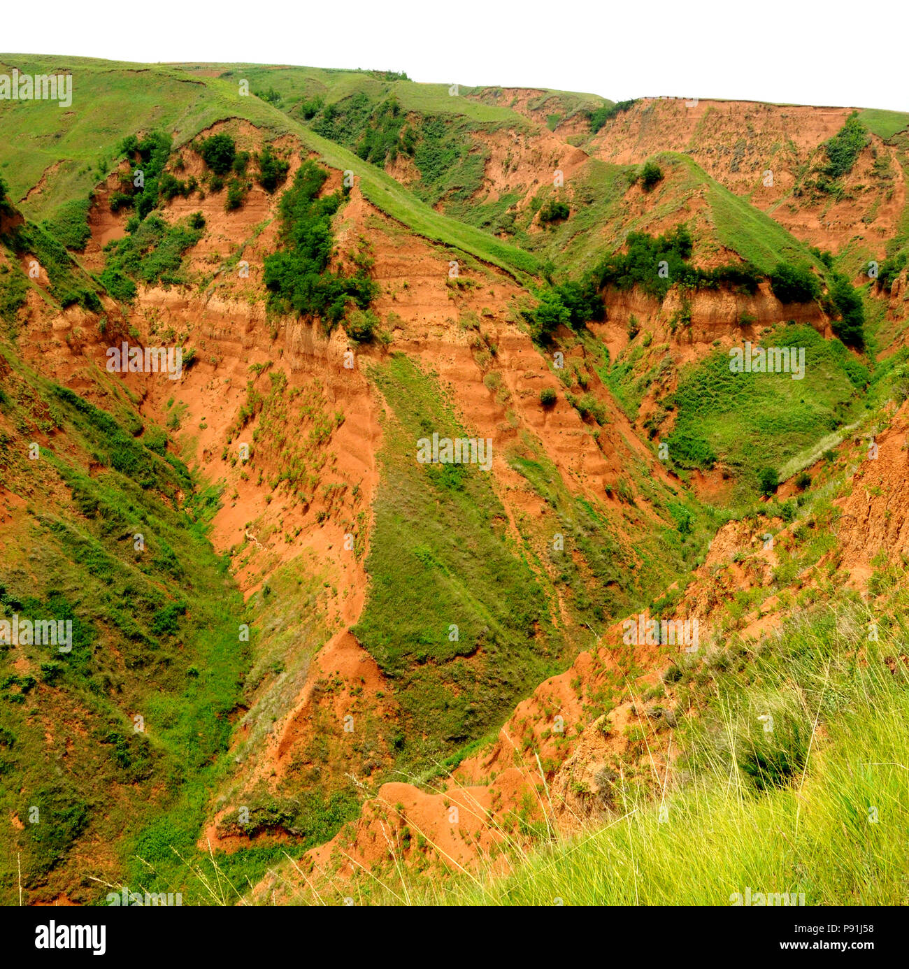 180714 hi-res stock photography and images - Alamy