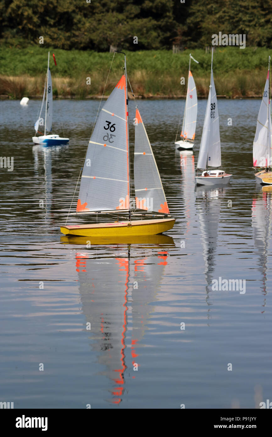 Bushy Park London England UK. 14th July 2018. Members of the model boat ...