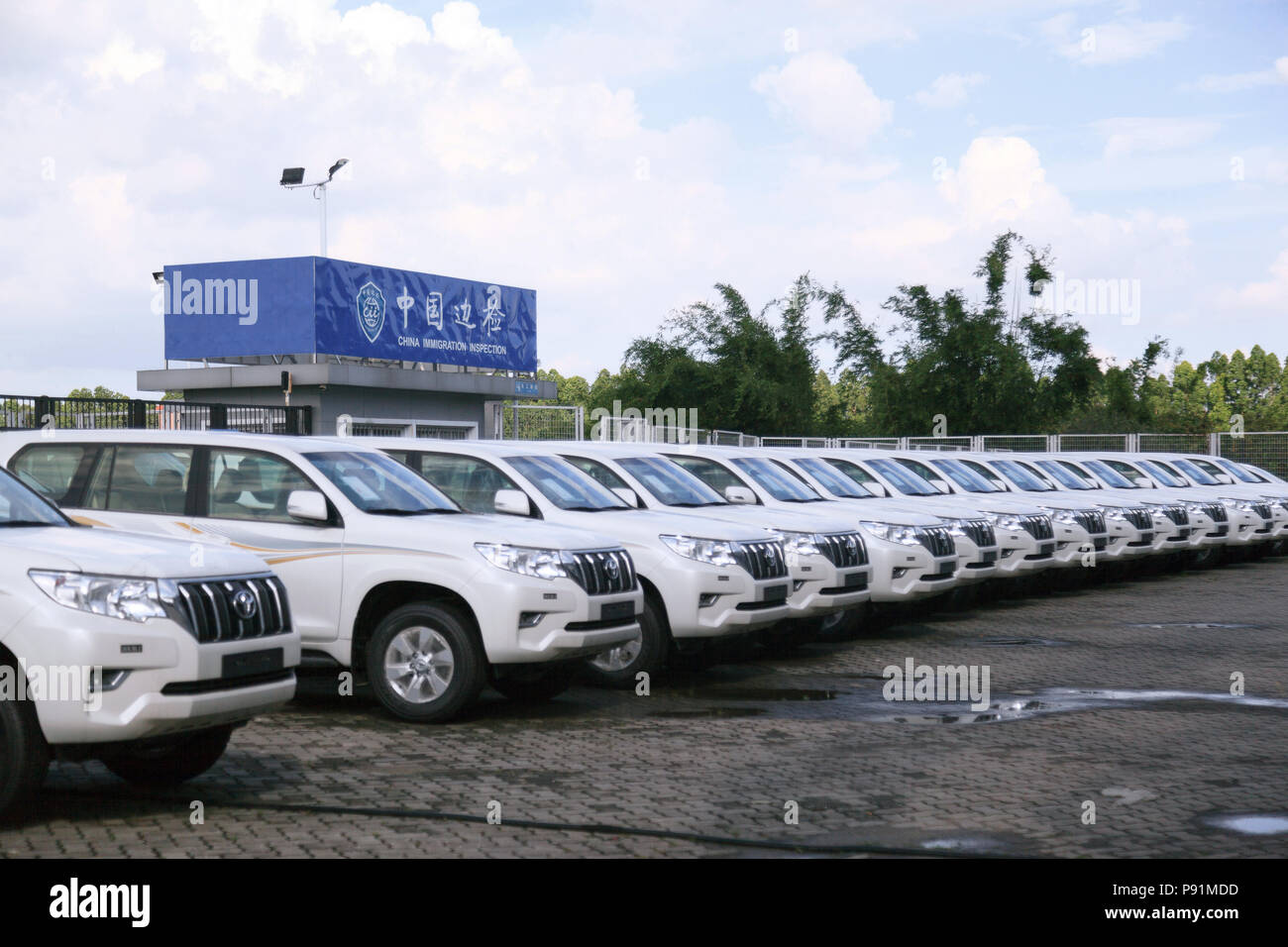 09 July 2018, China, Guangzhou: New Toyota Land Cruiser vehicles in a ...