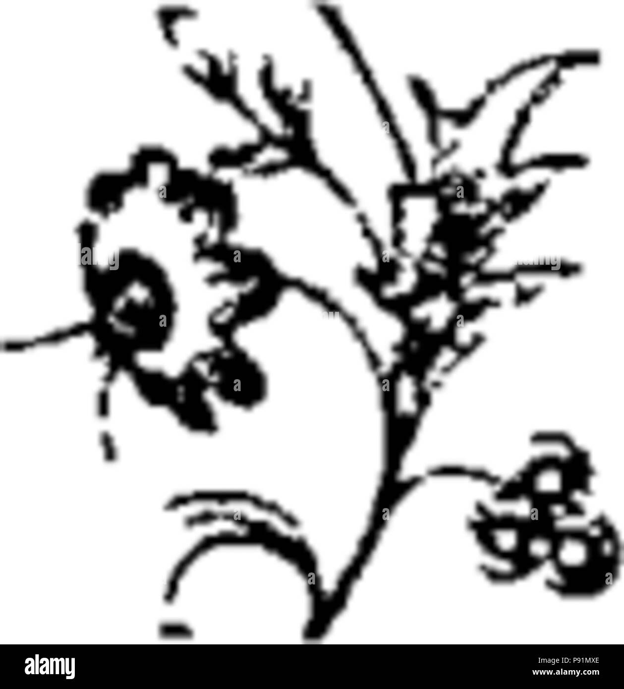 Fleur Black and White Stock Photos & Images - Alamy