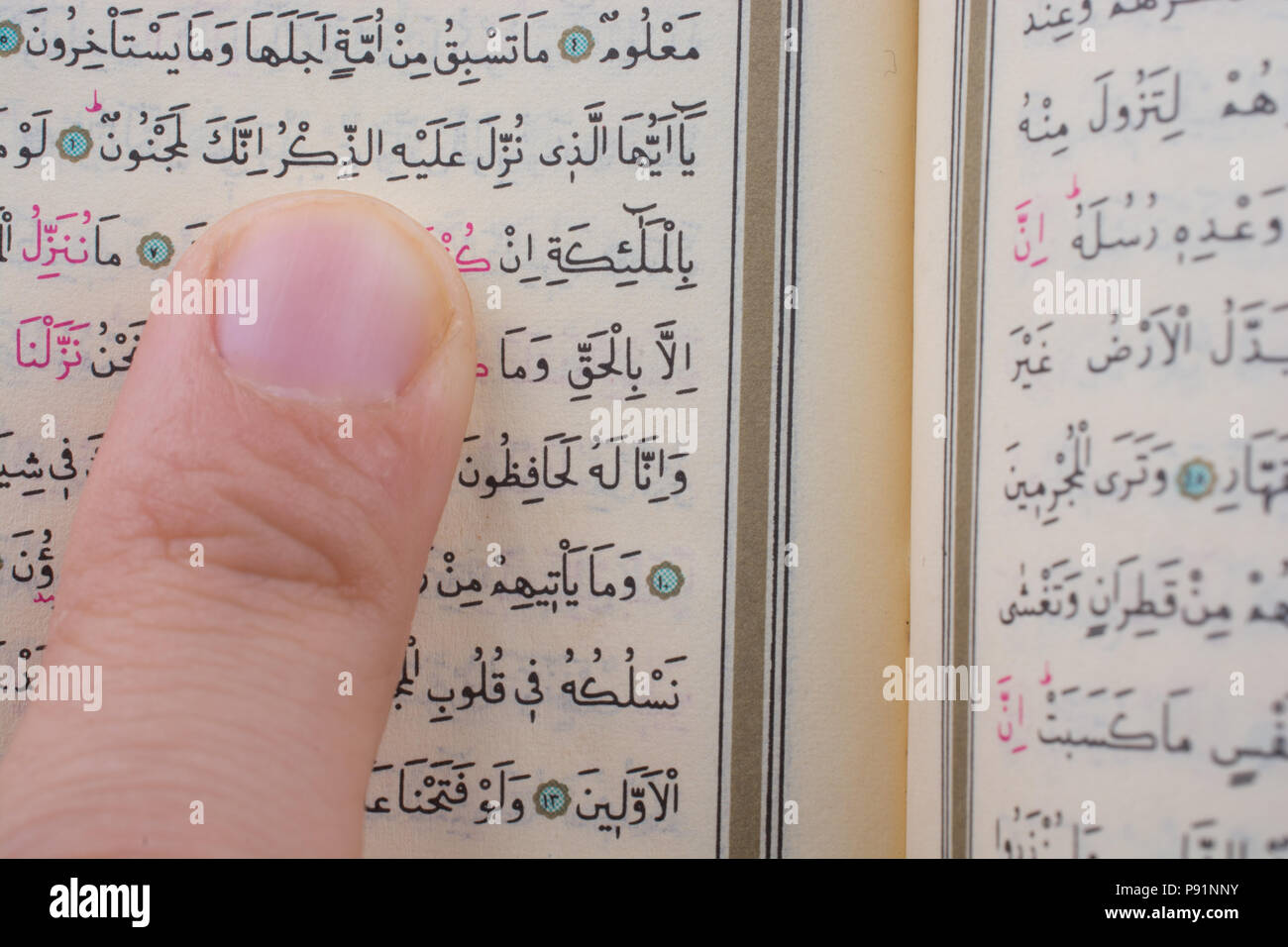 Hand holding The Holy Quran on a white background Stock Photo - Alamy