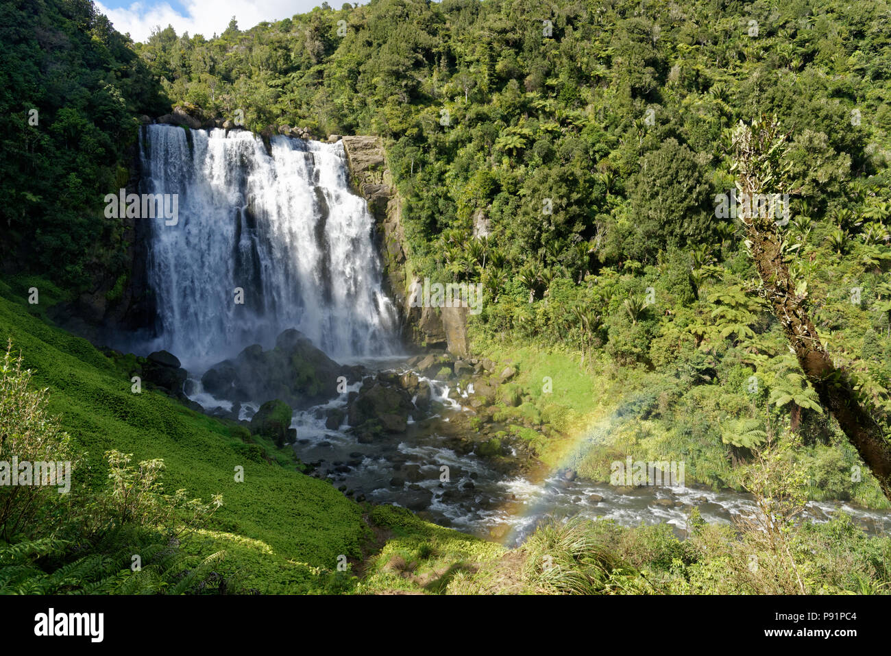 Waitomo new zealand hi-res stock photography and images - Alamy