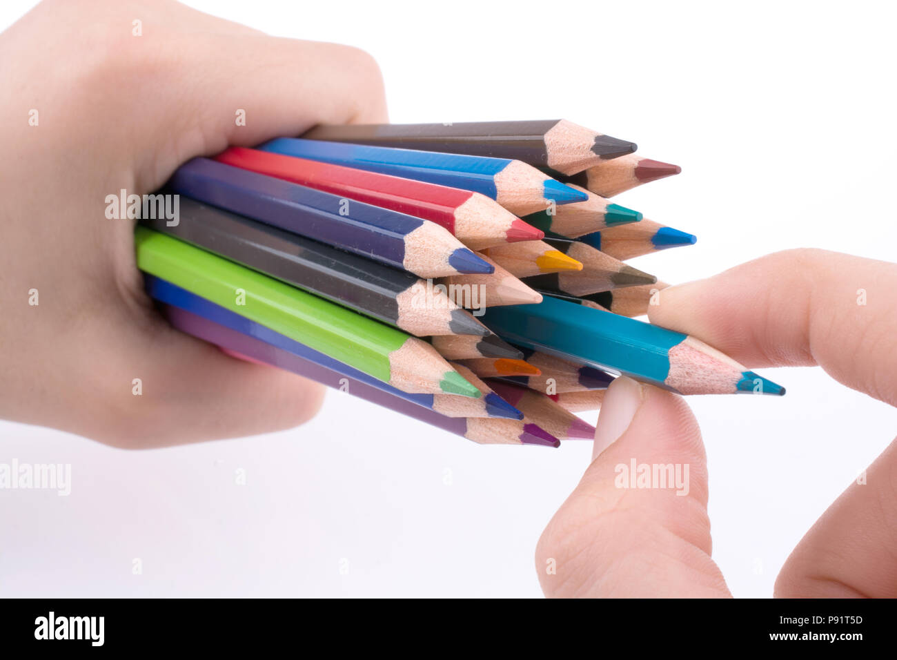 Hand holding color pencils on a white background Stock Photo - Alamy