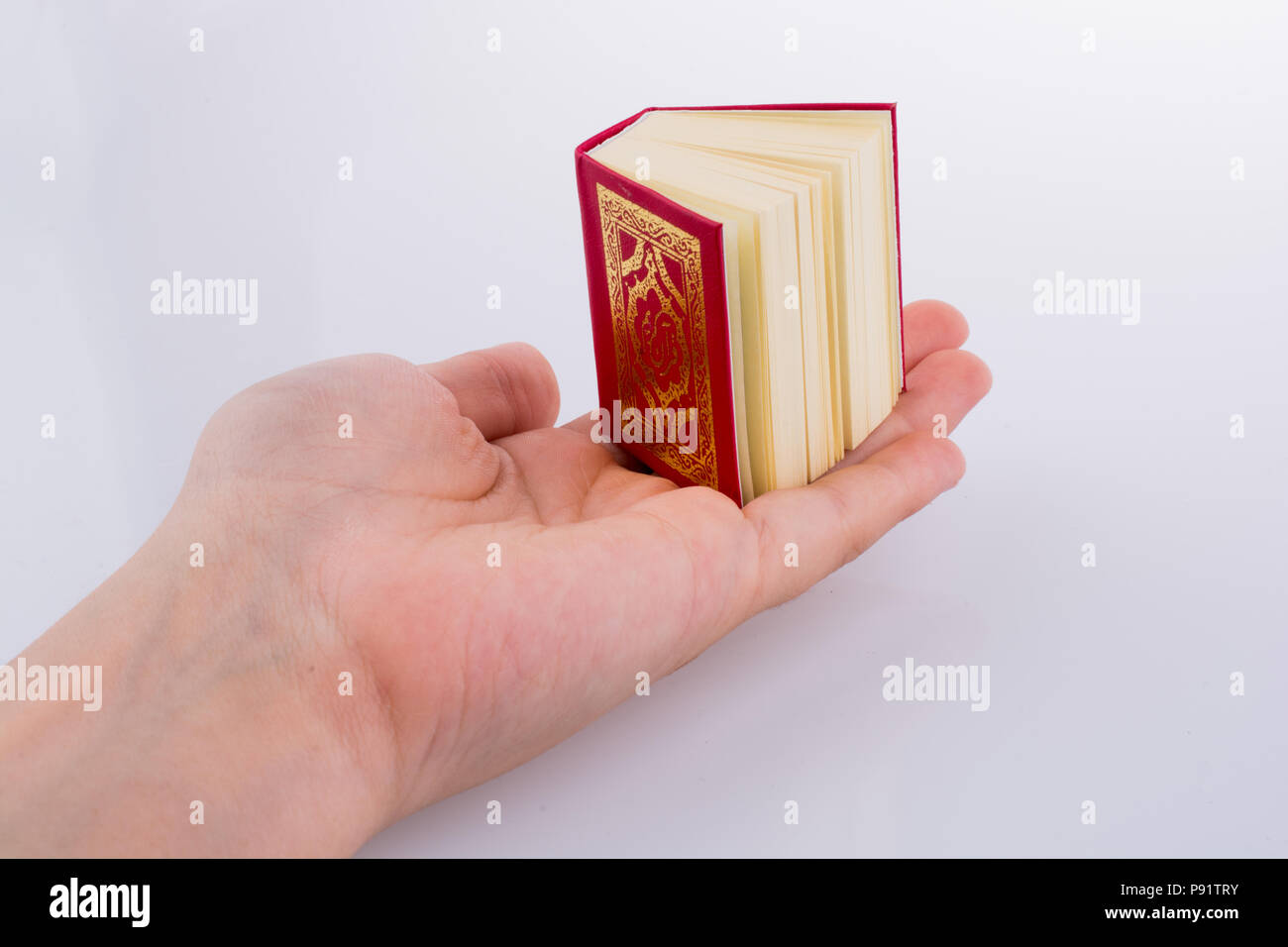 Hand holding The Holy Quran on a white background Stock Photo - Alamy