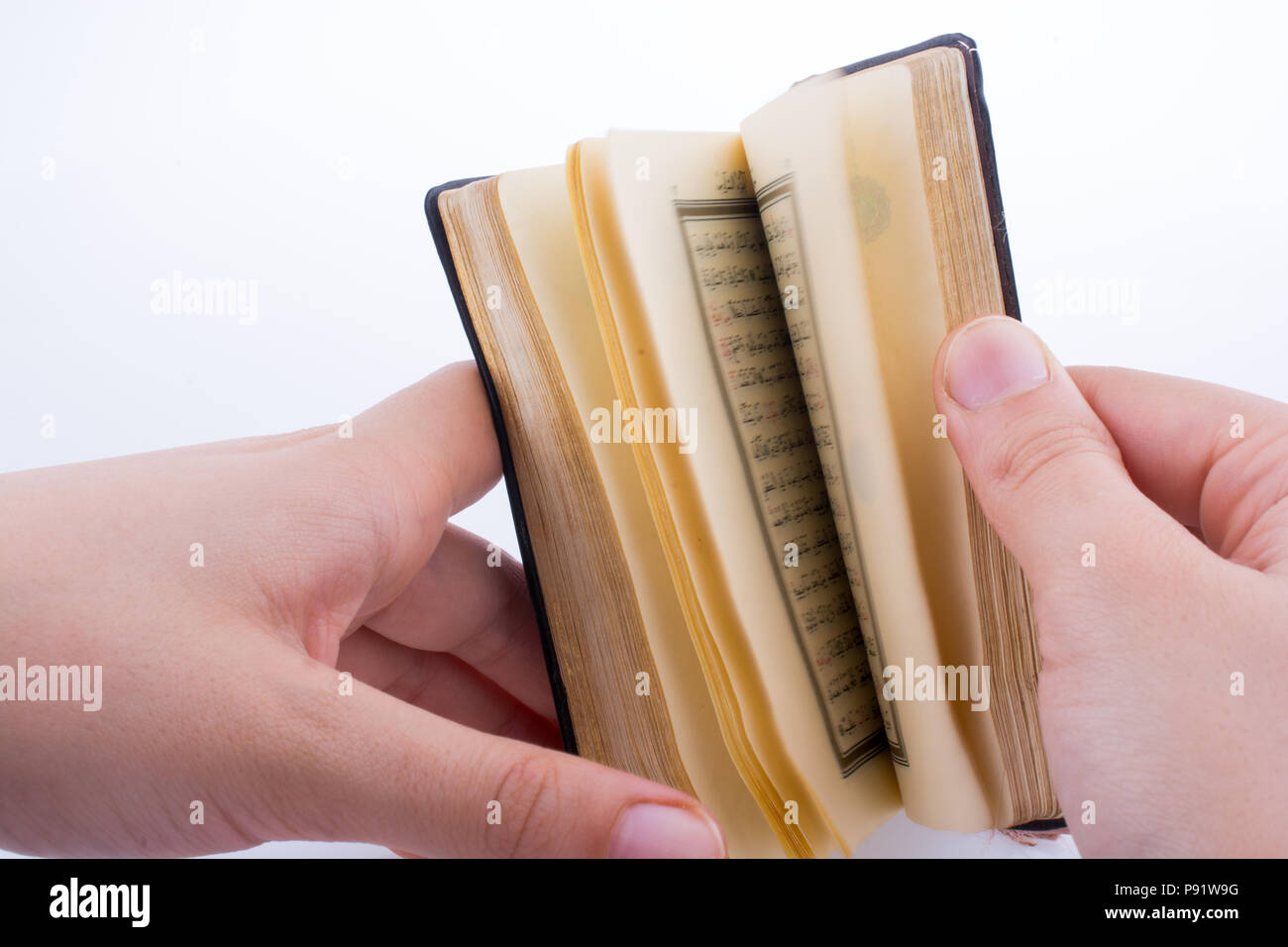 Hand holding The Holy Quran on a white background Stock Photo - Alamy