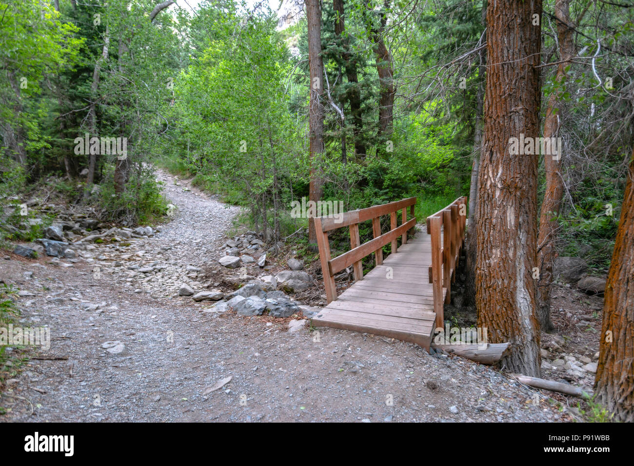Wooden foot bridge hi-res stock photography and images - Alamy