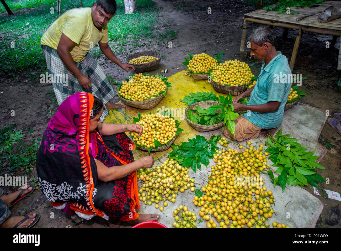 Bangladeshi Fruits High Resolution Stock Photography and Images - Alamy