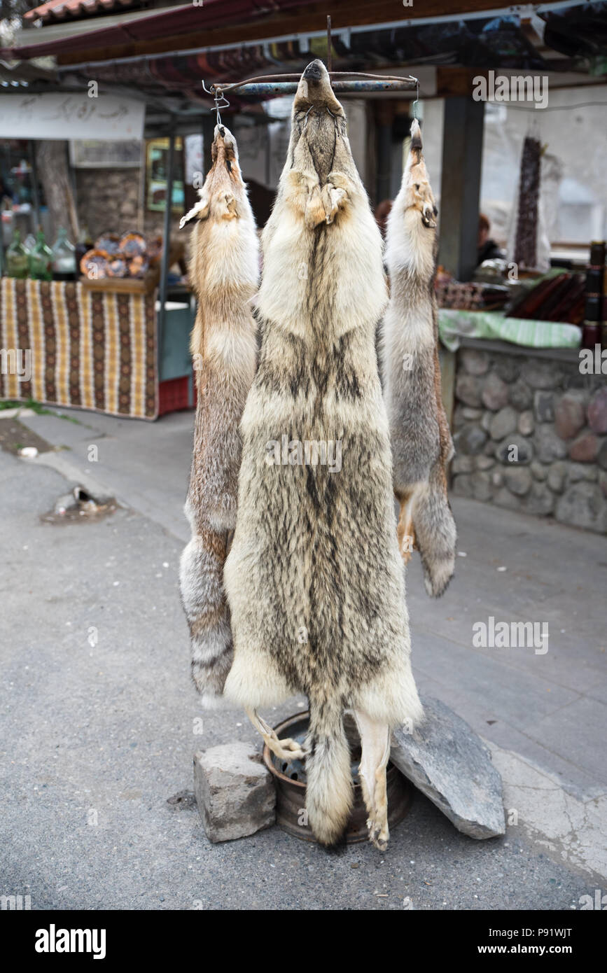 Skins of wolves Stock Photo - Alamy