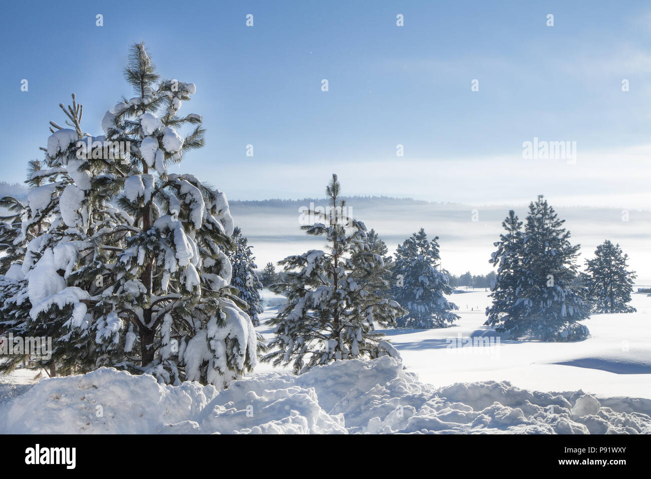 Lots of snow hi-res stock photography and images - Alamy