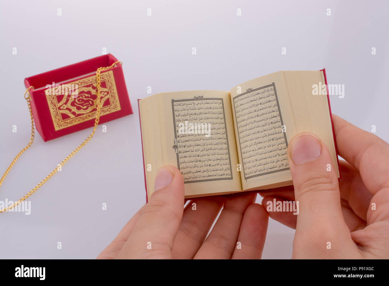 Hand holding The Holy Quran on a white background Stock Photo - Alamy