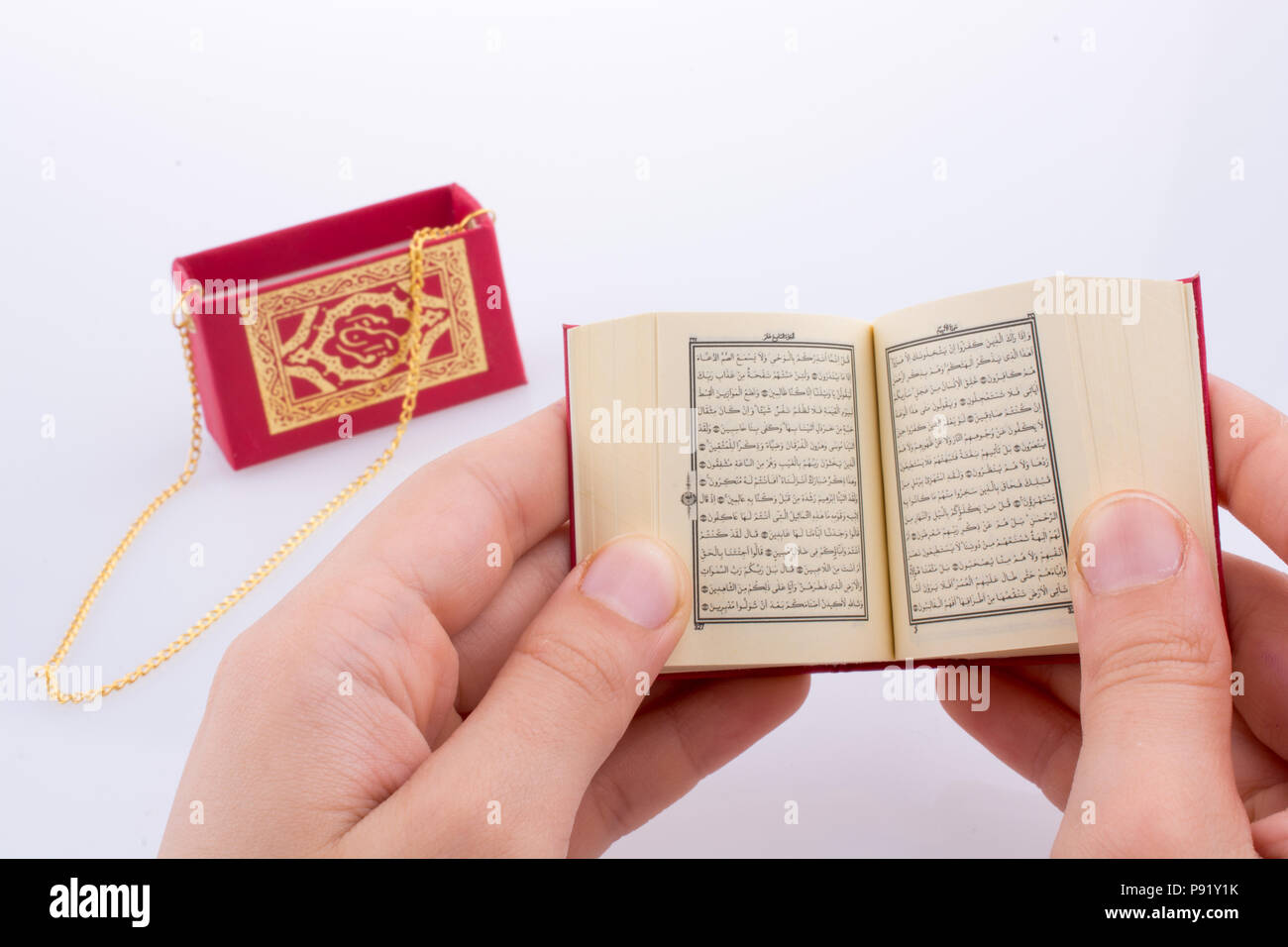 Hand holding The Holy Quran on a white background Stock Photo - Alamy