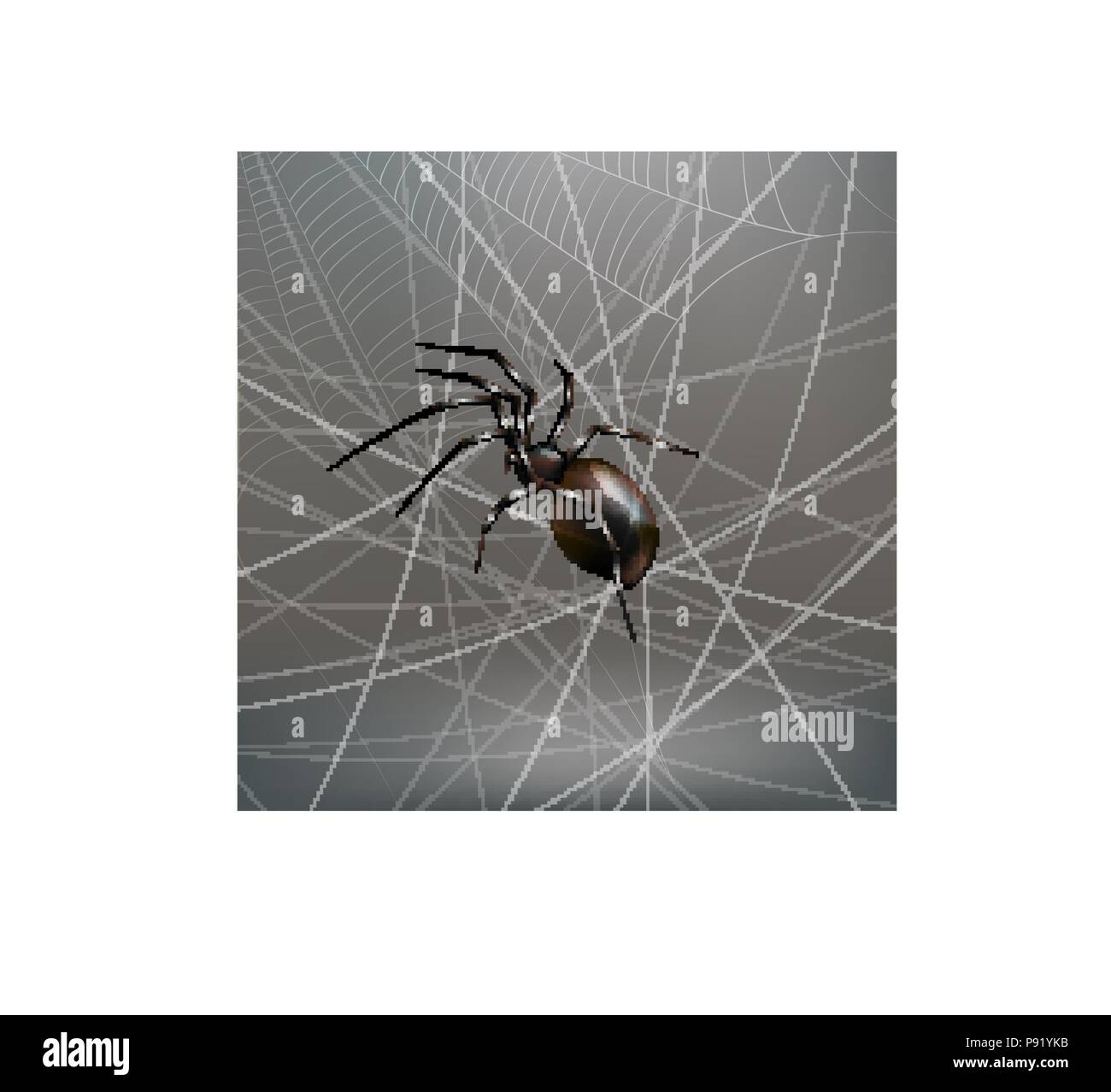 Stock vector illustration realistic black spider. light gray background ...