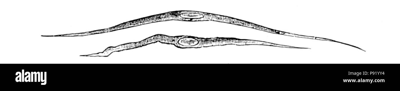 Change for life Black and White Stock Photos & Images - Alamy