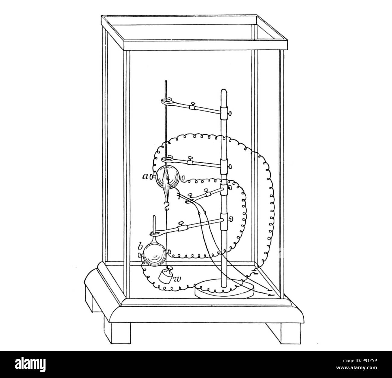 Life observation Black and White Stock Photos & Images - Alamy