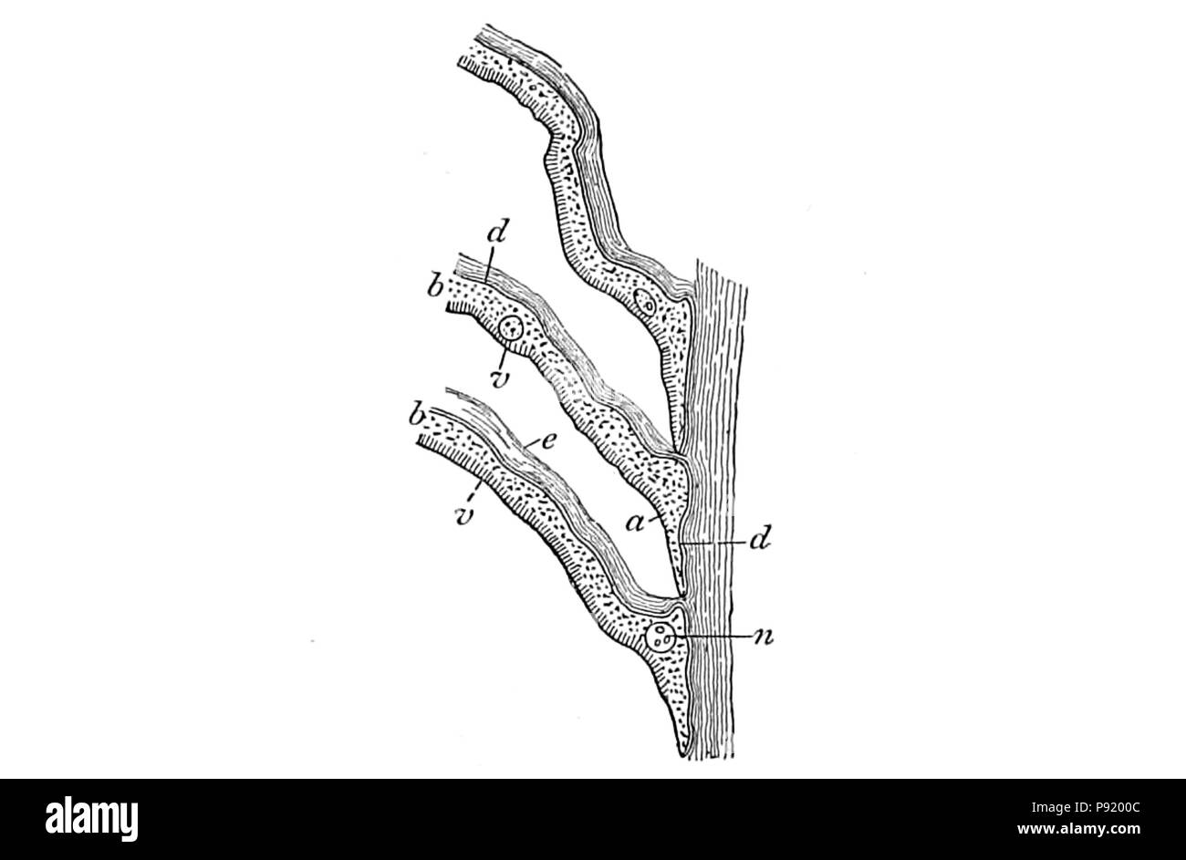 Our life in art Cut Out Stock Images & Pictures - Alamy
