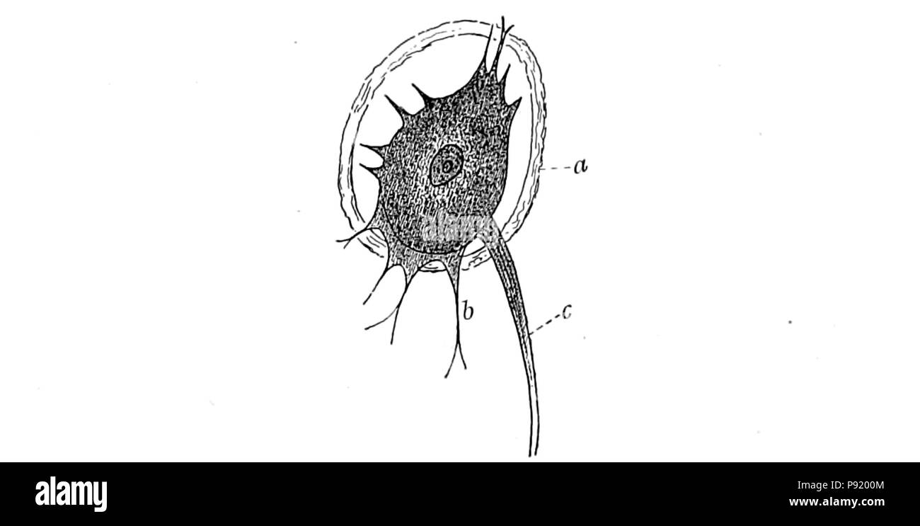 Change for life Black and White Stock Photos & Images - Alamy