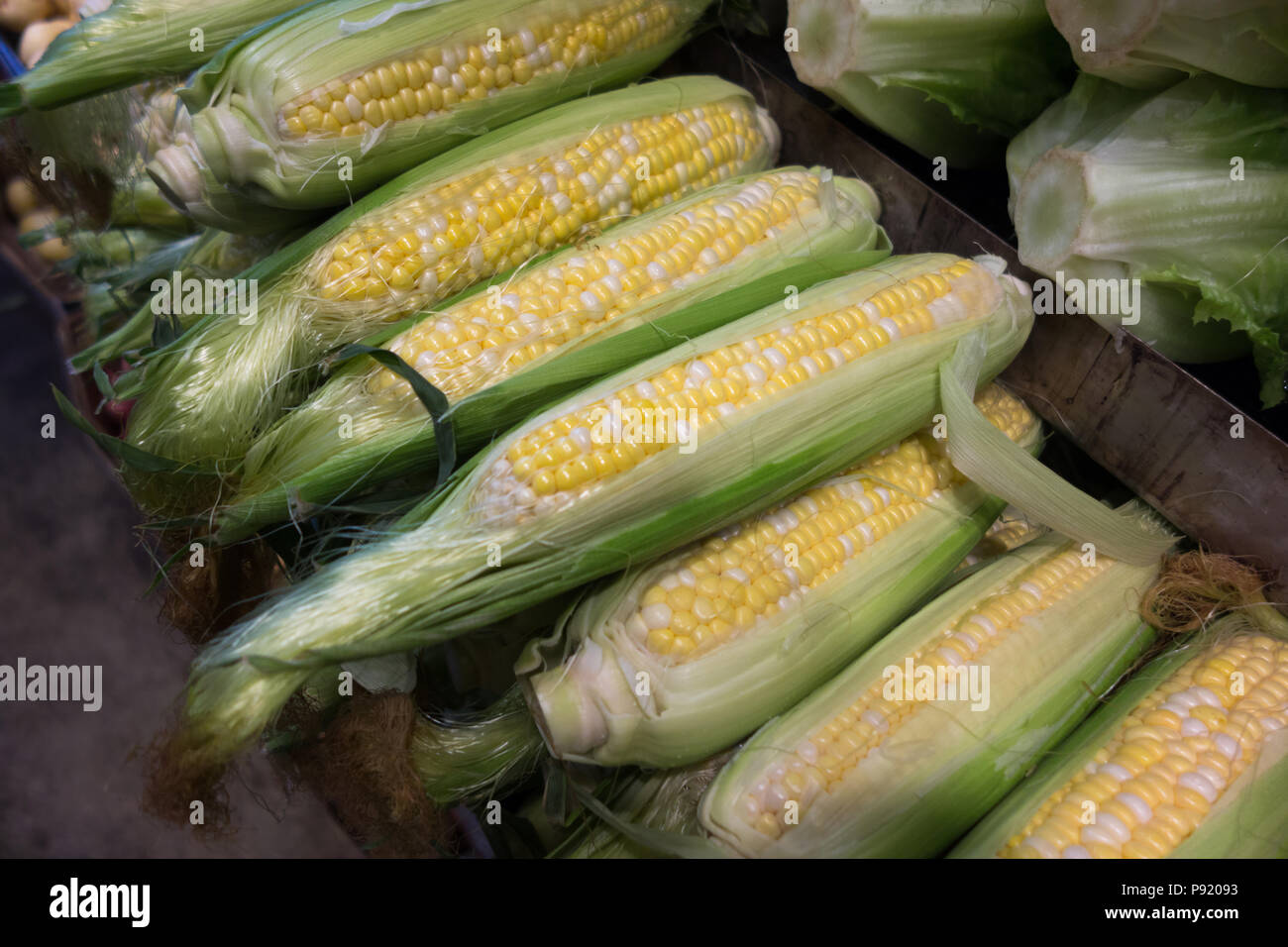 Ear of corn hi-res stock photography and images - Alamy