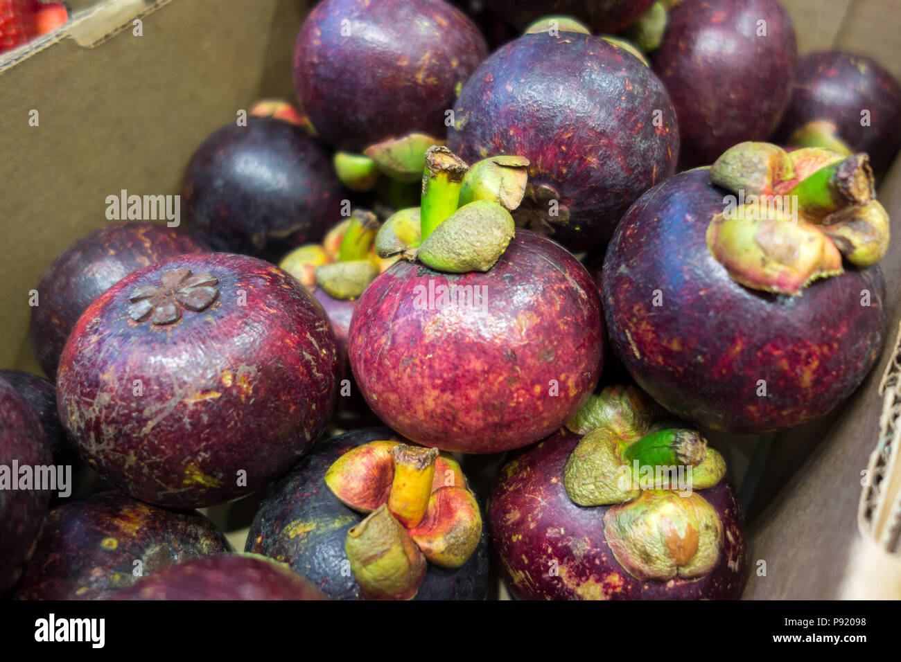 Purple mangosteen hi-res stock photography and images - Alamy