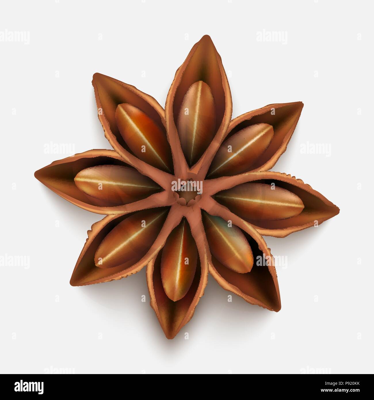 Realistic cinnamon. Spice isolated on grey background ESP10 Stock ...