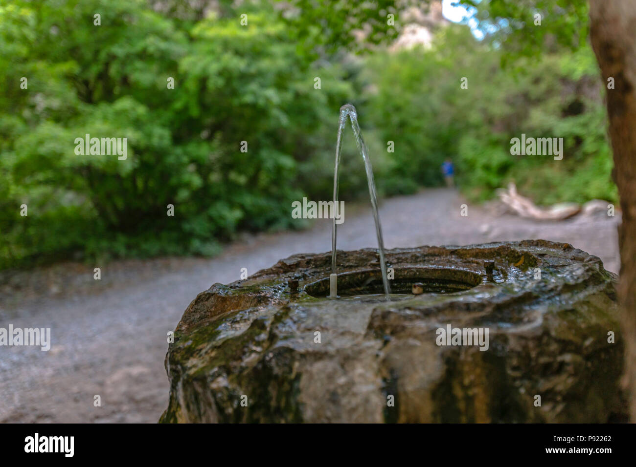 Natural Spring Fountain