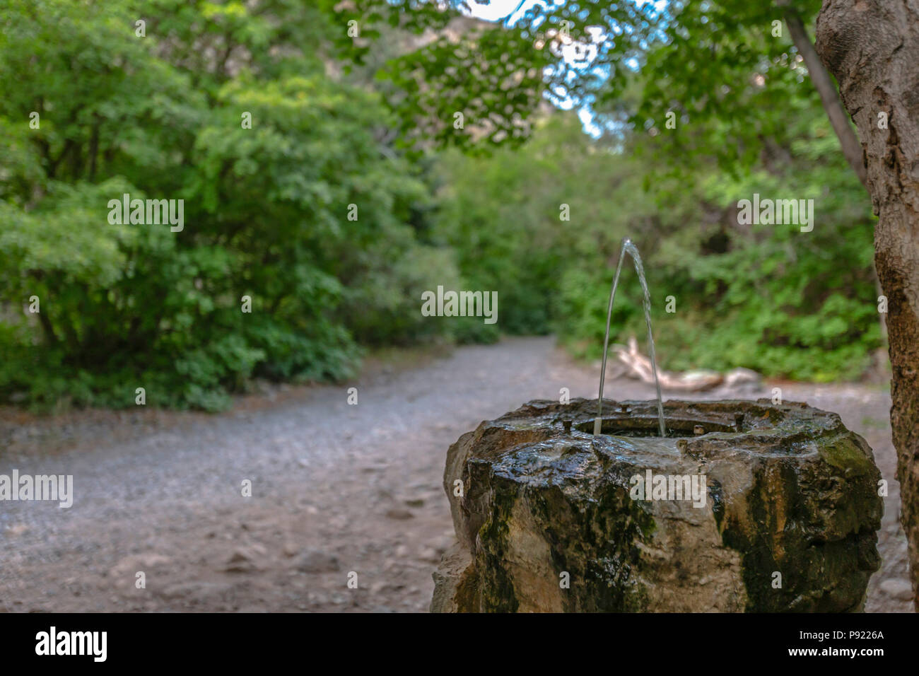 Natural drinking fountain from spring Stock Photo - Alamy