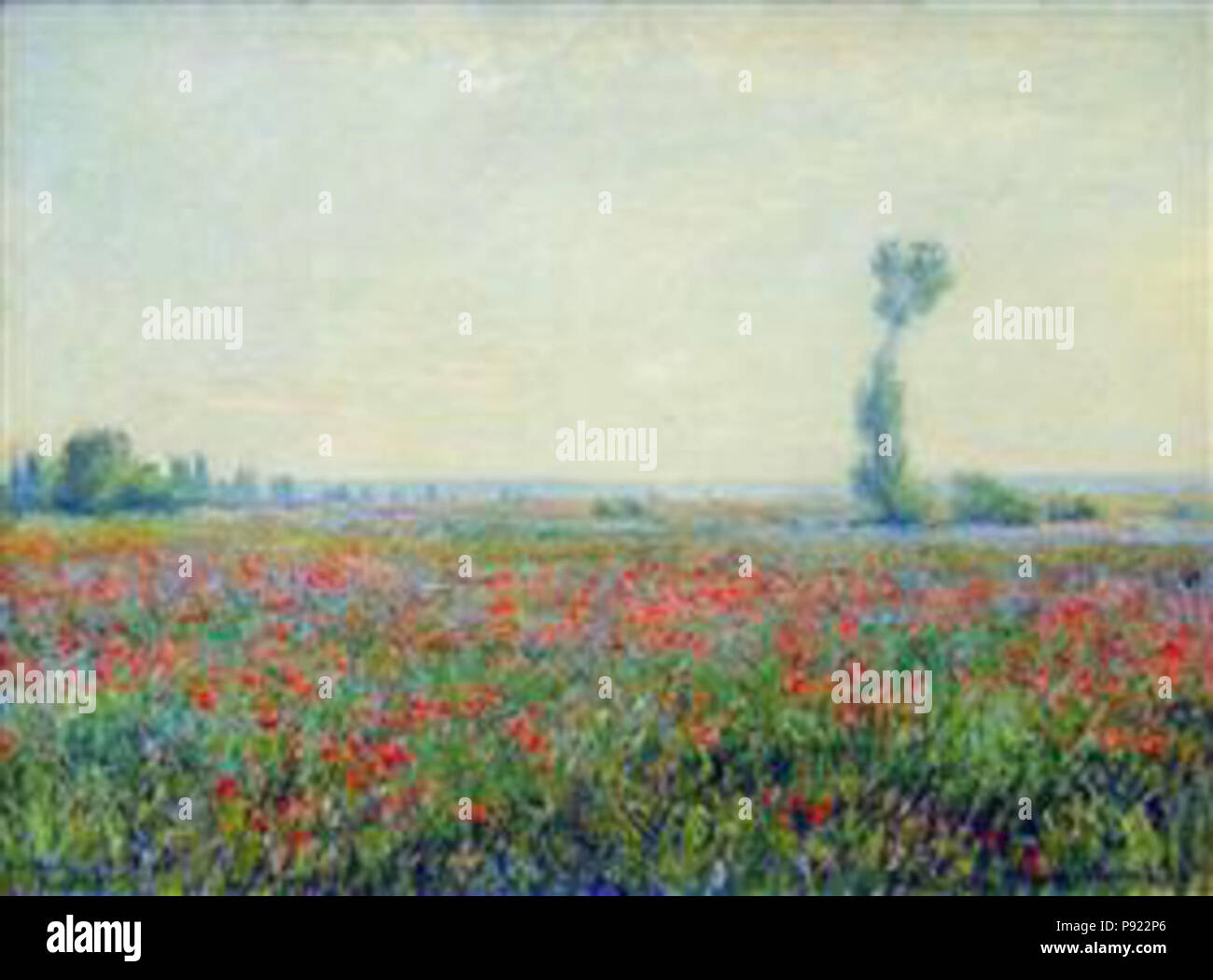 Monet poppy field hi-res stock photography and images - Alamy