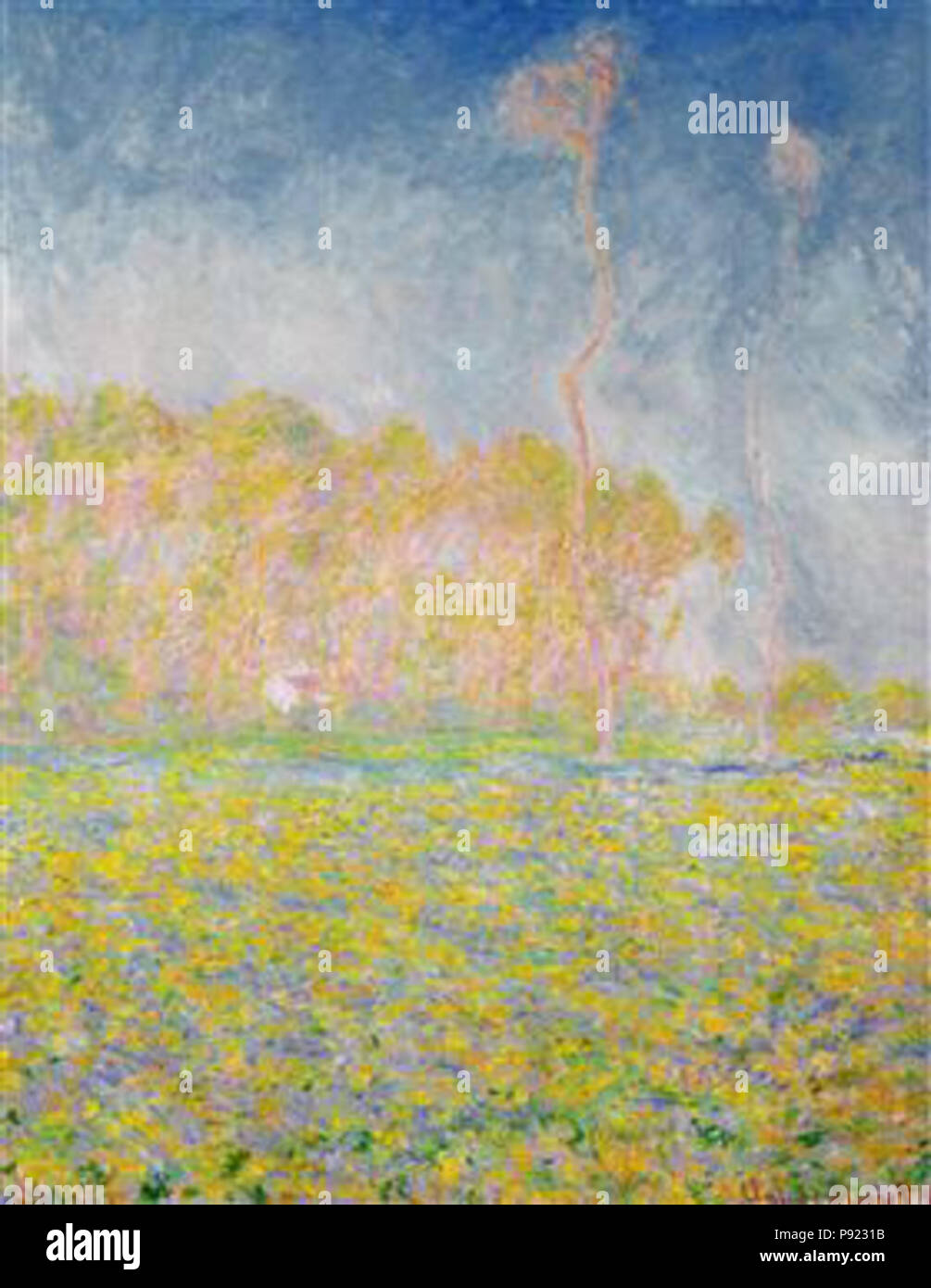 Monet landscape hi-res stock photography and images - Alamy