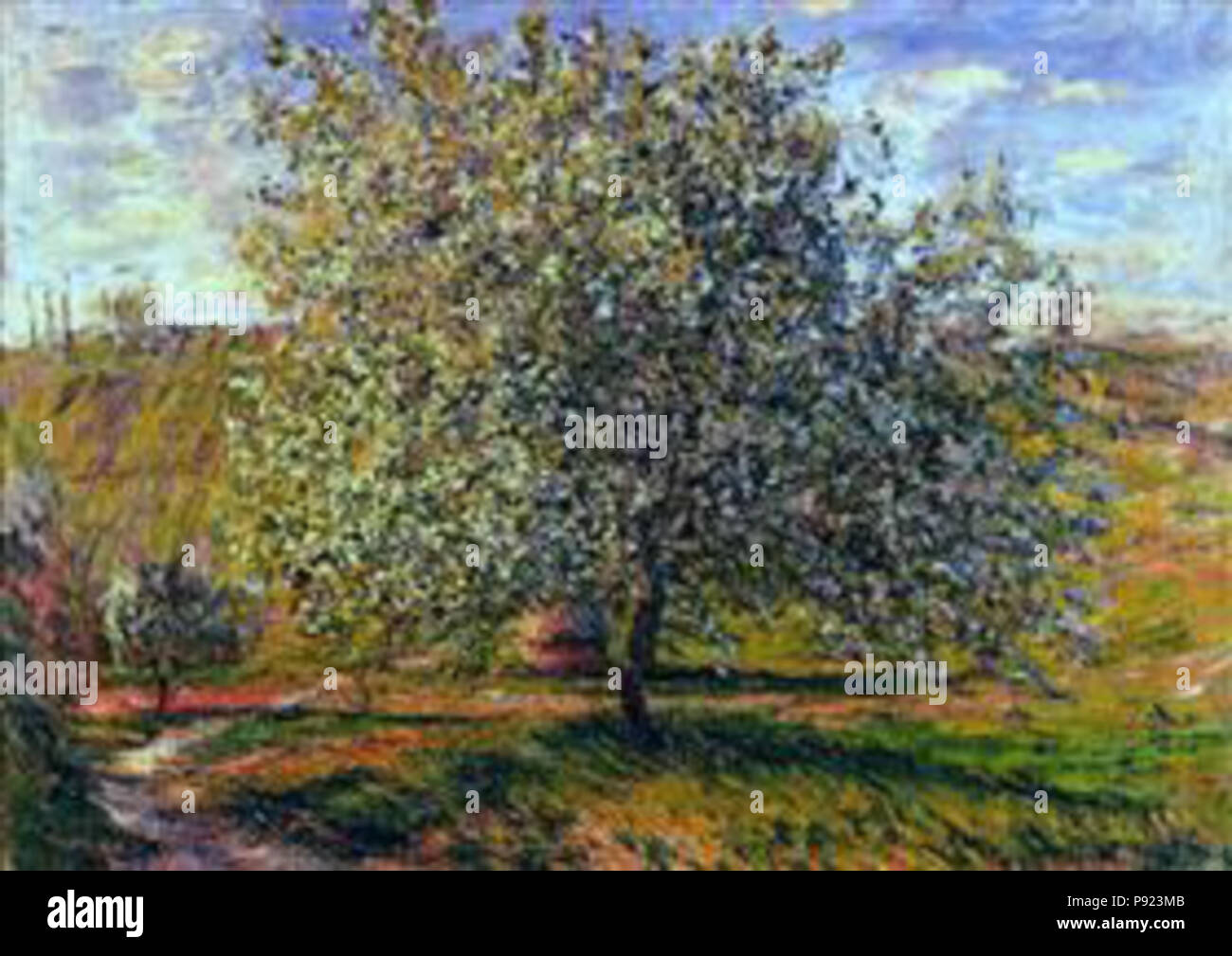 Monet tree hi-res stock photography and images - Alamy