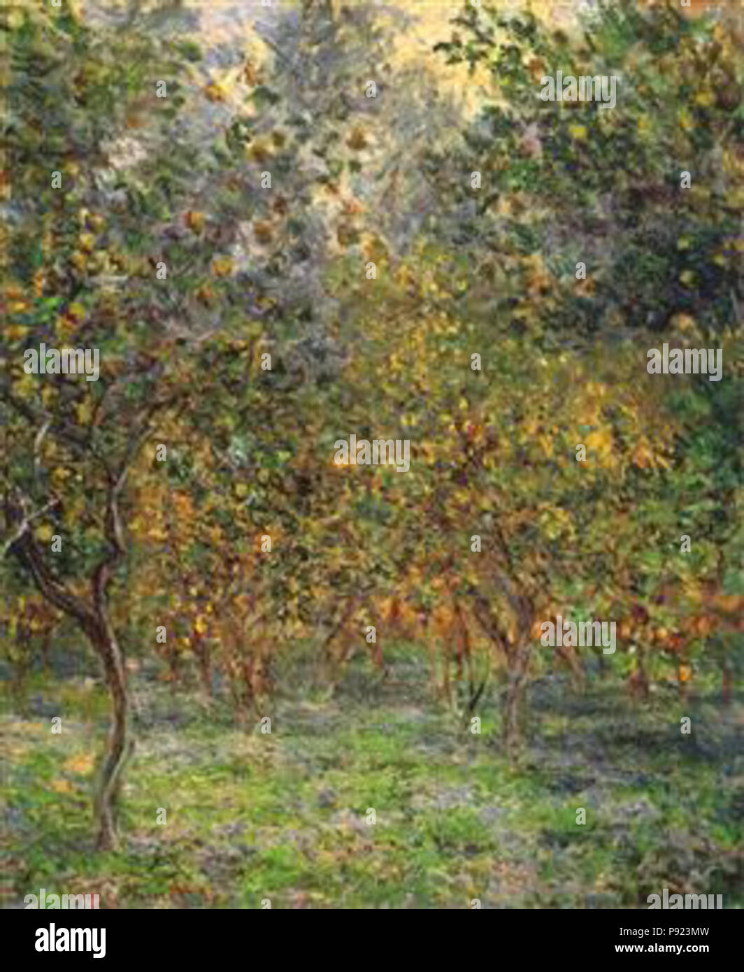 Monet trees hi-res stock photography and images - Alamy
