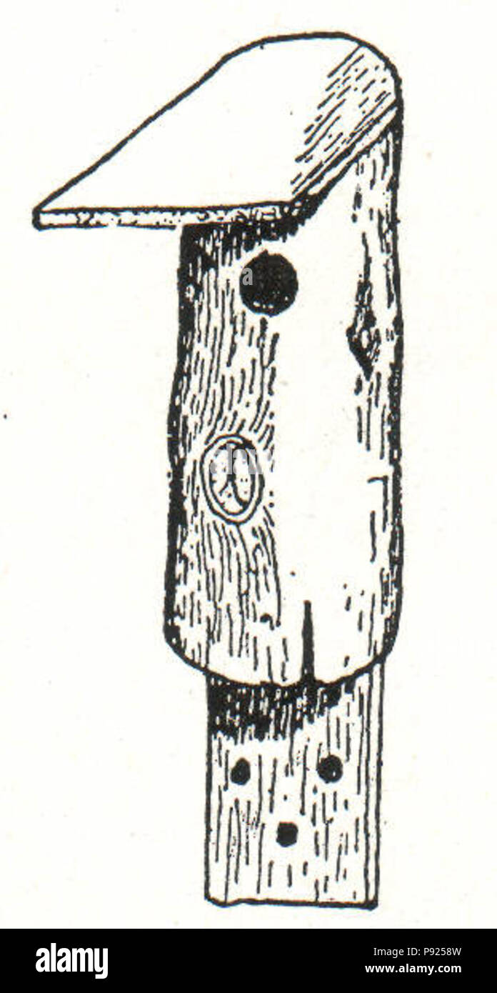 . 436 NSRW Hollow-Limb Box Stock Photo - Alamy