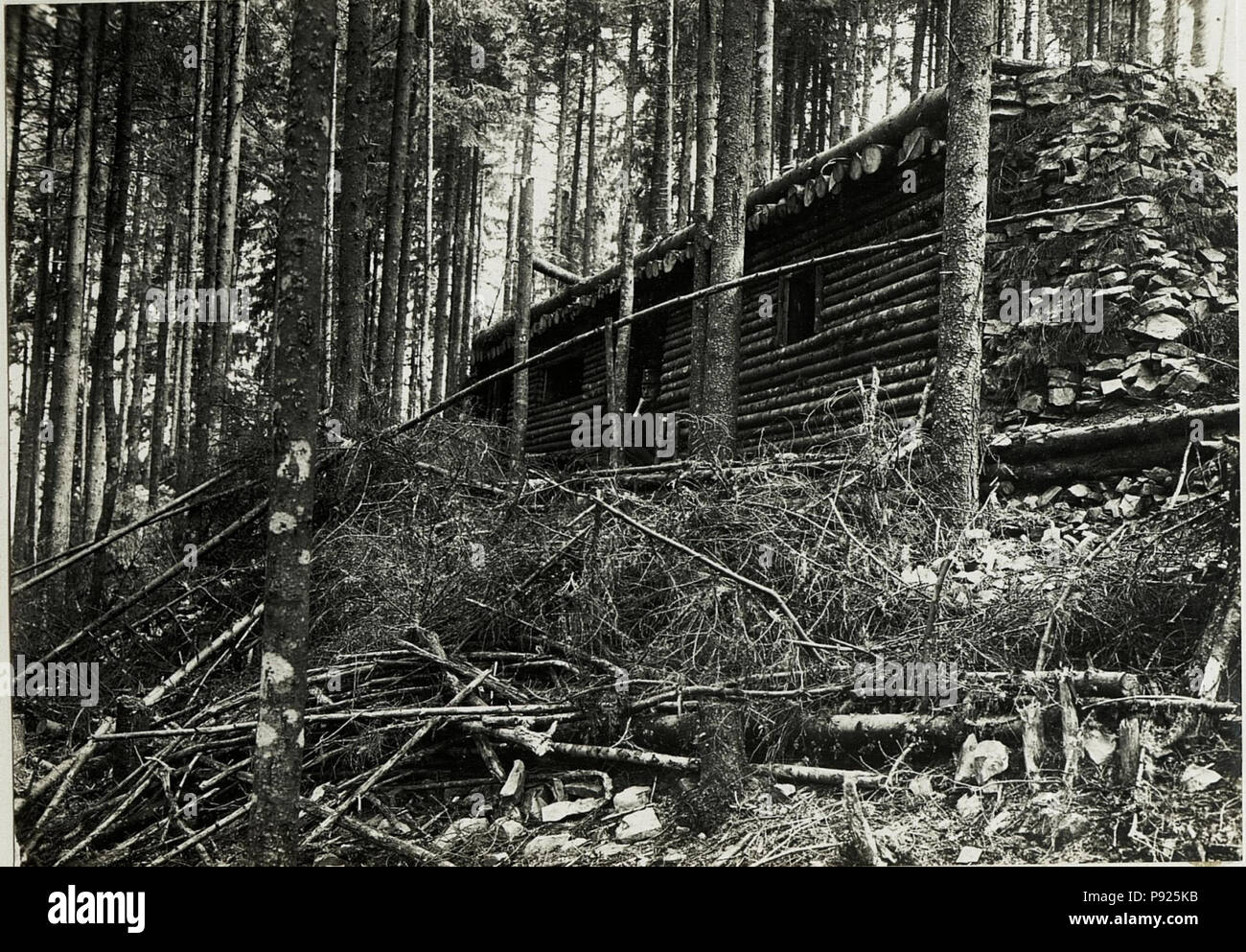 Makowka hi-res stock photography and images - Alamy