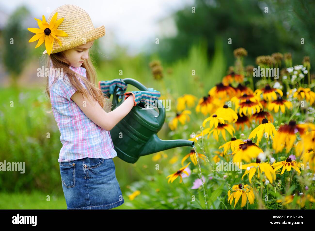Cute little girl watering flowers in the garden at summer day Stock ...