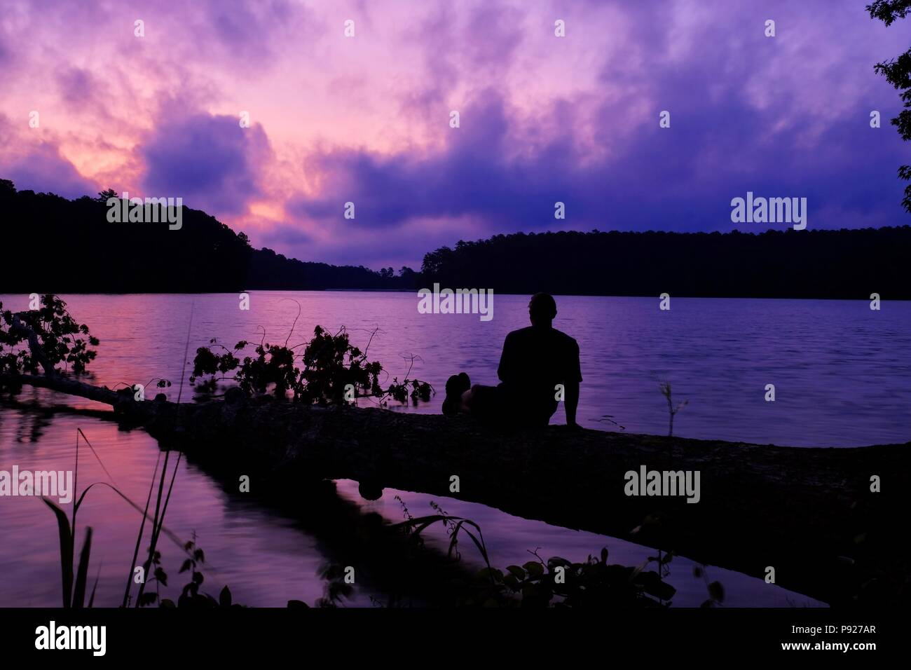 A man sitting peacefully on an old fallen log over the lake during a ...