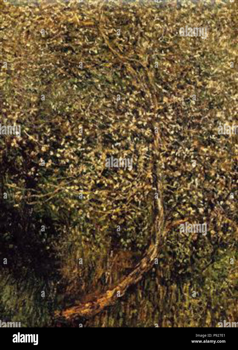 Claude monet trees in blossom hi-res stock photography and images - Alamy